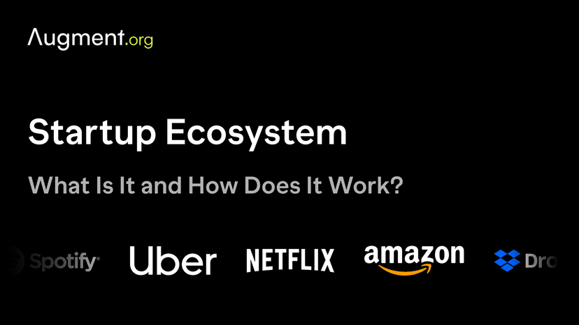 Startup Ecosystem: What Is It and How Does It Work?